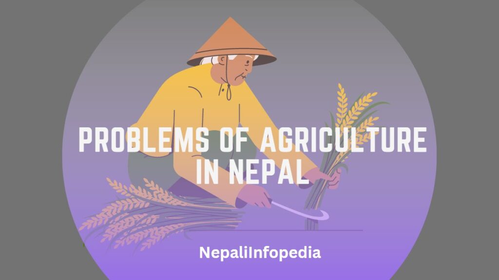 What is Domestic Violence? Effects, Controls - Nepali Infopedia What is Domestic Violence? Effects, Controls - Nepali Infopedia